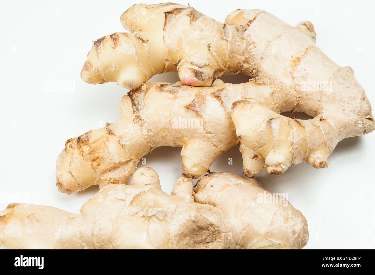 Ginger spice root - Zingiber officinale, photo on neutral background ...