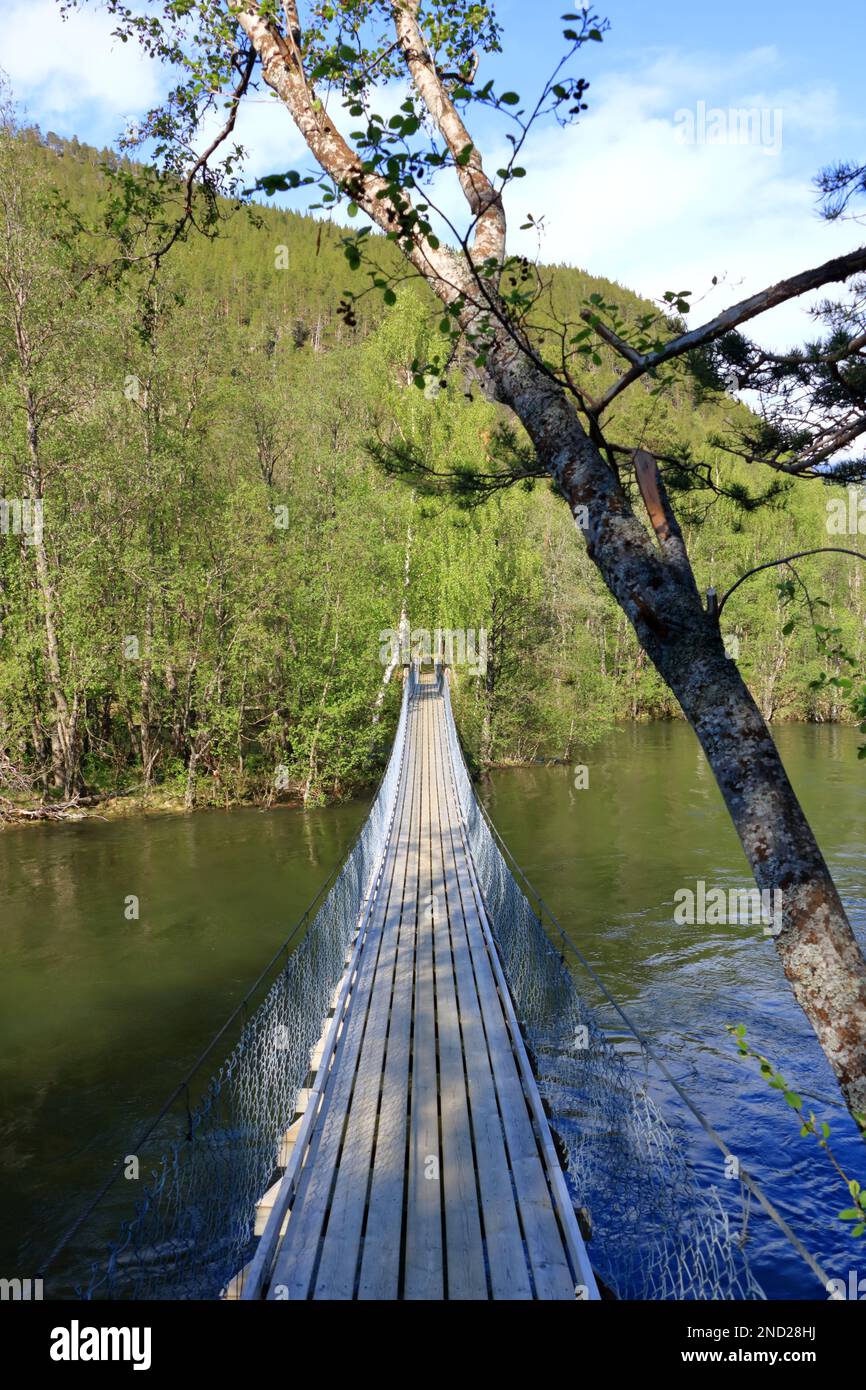 small suspension footbridge over small river in norway Stock Photo - Alamy