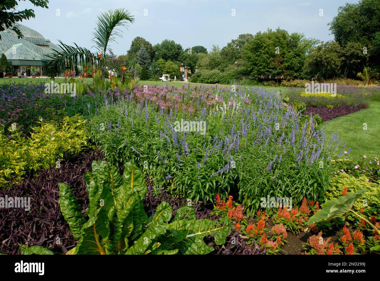 Lincoln Park Butterfly Garden, Chicago, Illinois Stock Photo - Alamy