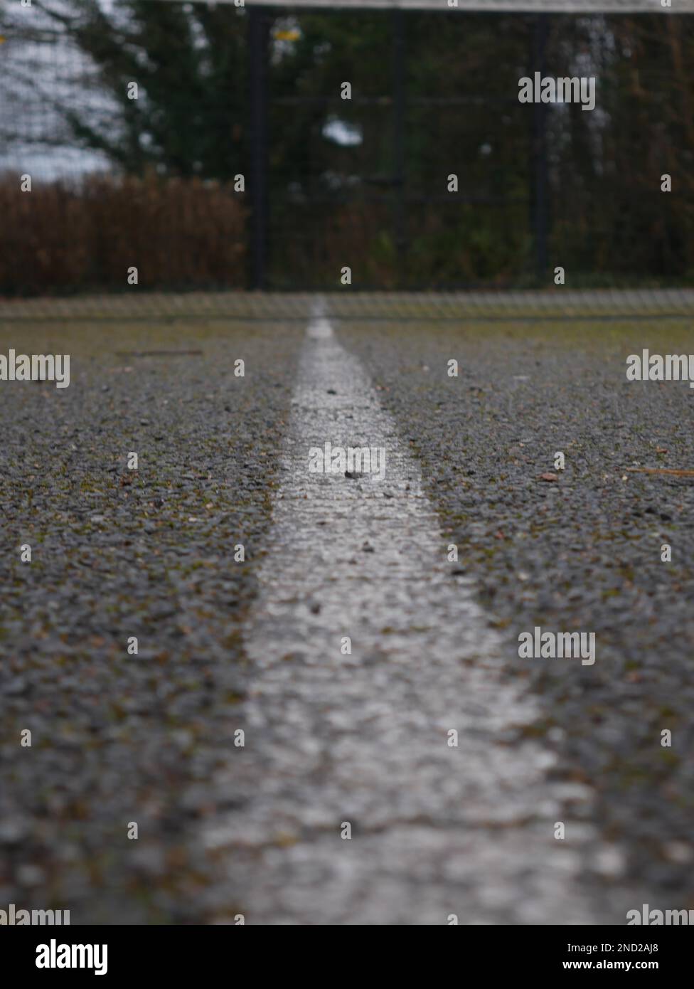 A vertical view of a straight white line on the street asphalt Stock ...