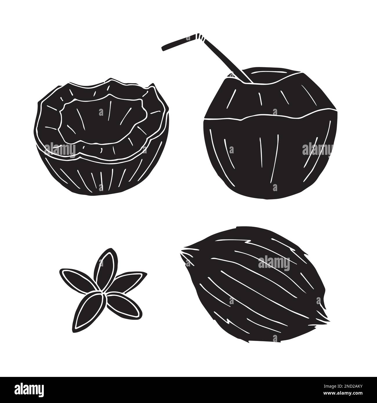 Vector set bundle of hand drawn doodle sketch coconut isolated on white ...