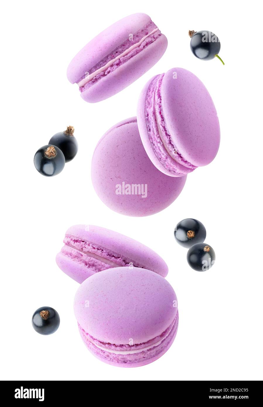 Pink macaroons and black currants levitation isolated on white ...