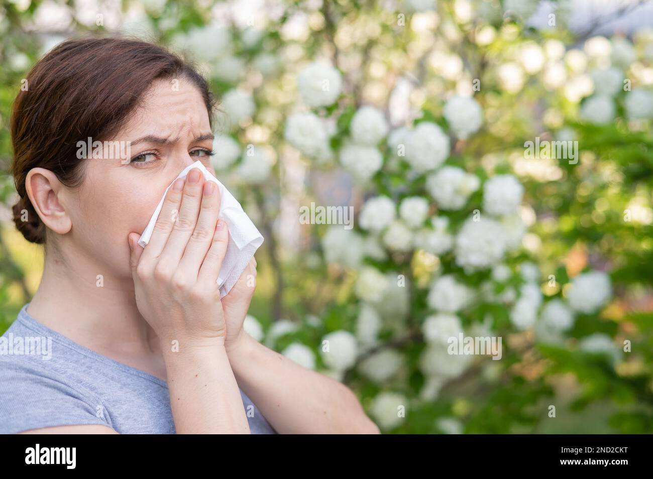 Middle-aged woman blowing her nose in a flowering garden Stock Photo ...