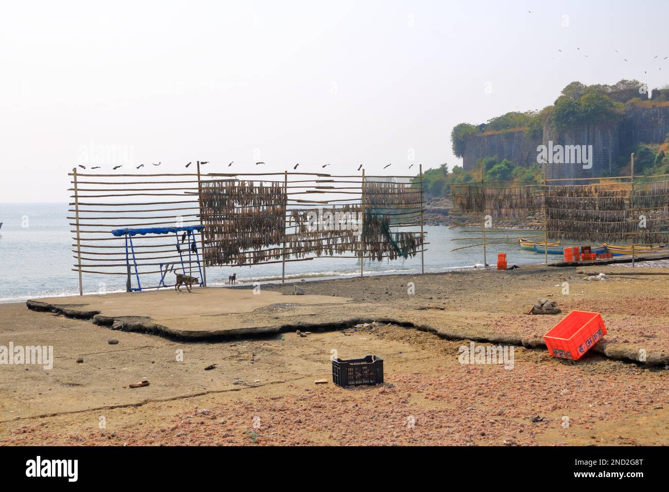 December 21 2022 - Mumbai, Maharashtra in India: fishing port in Mumbai ...