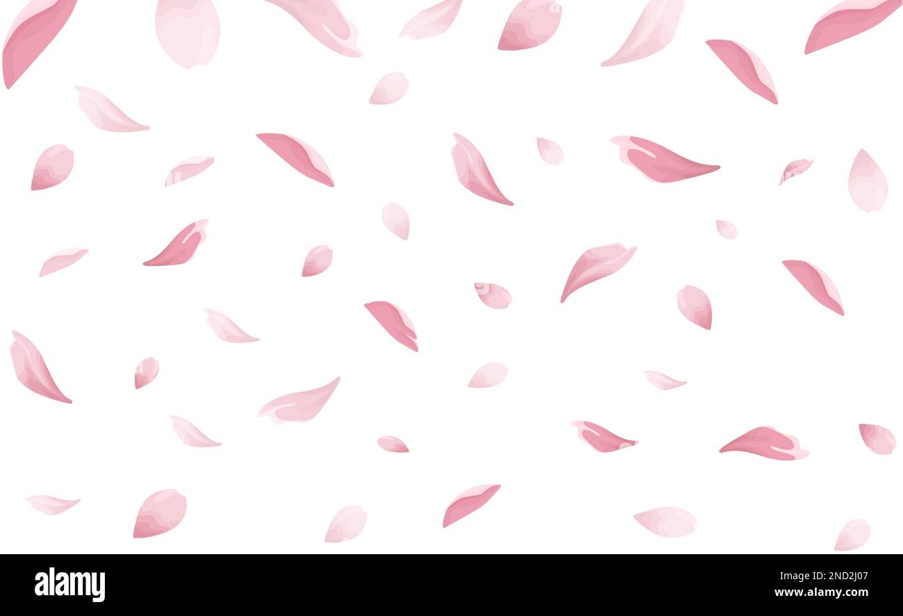 Sakura, Cherry blossom petals vector art overlay Stock Vector Image ...