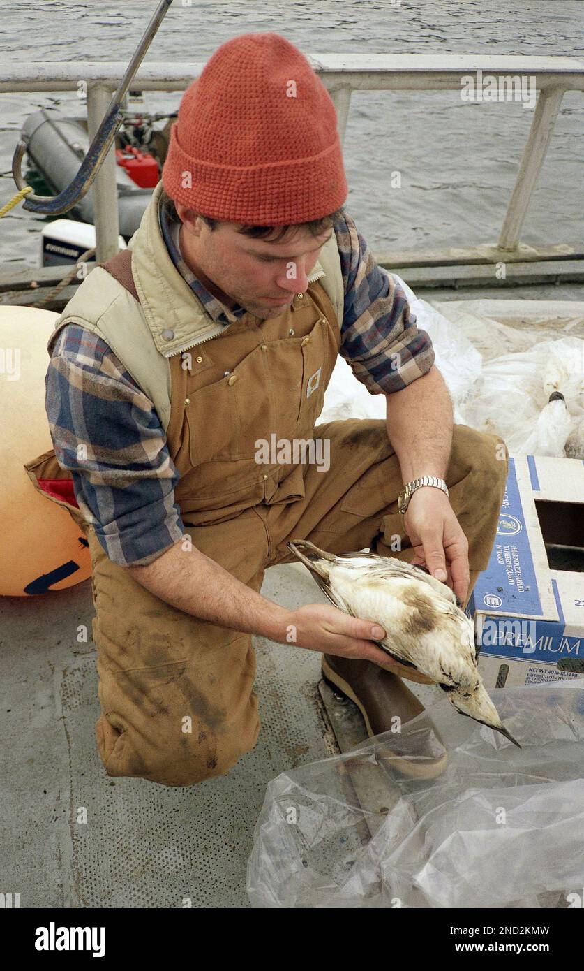 Ray Hander of the U.S. Fish and Wildlife Service with an “expired ...