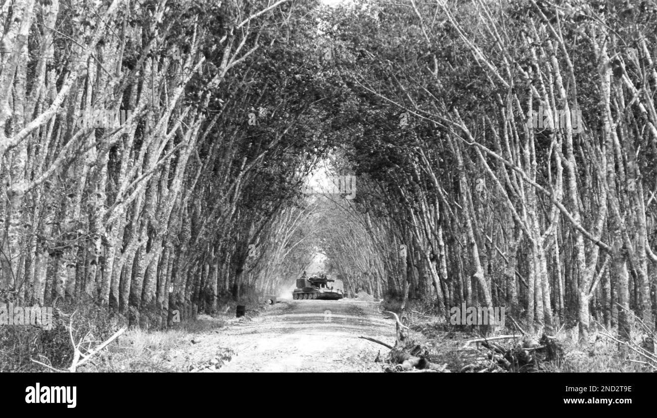 An armored vehicle maneuvers among rubber trees near the base camp of ...