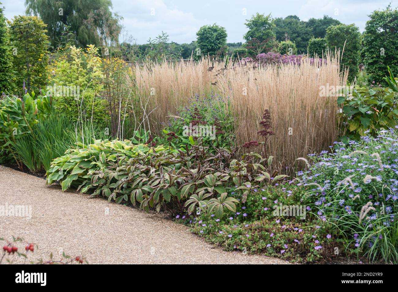 Cottage Gardens Plants -Mixed Border Stock Photo - Alamy