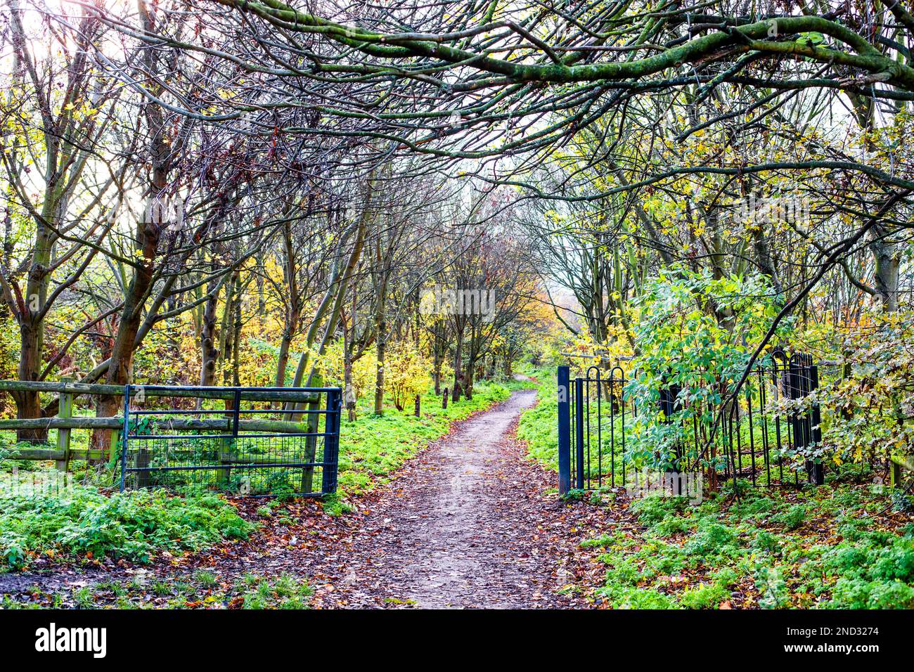 A muddy wintry path leads through a gate and curves around the corner ...