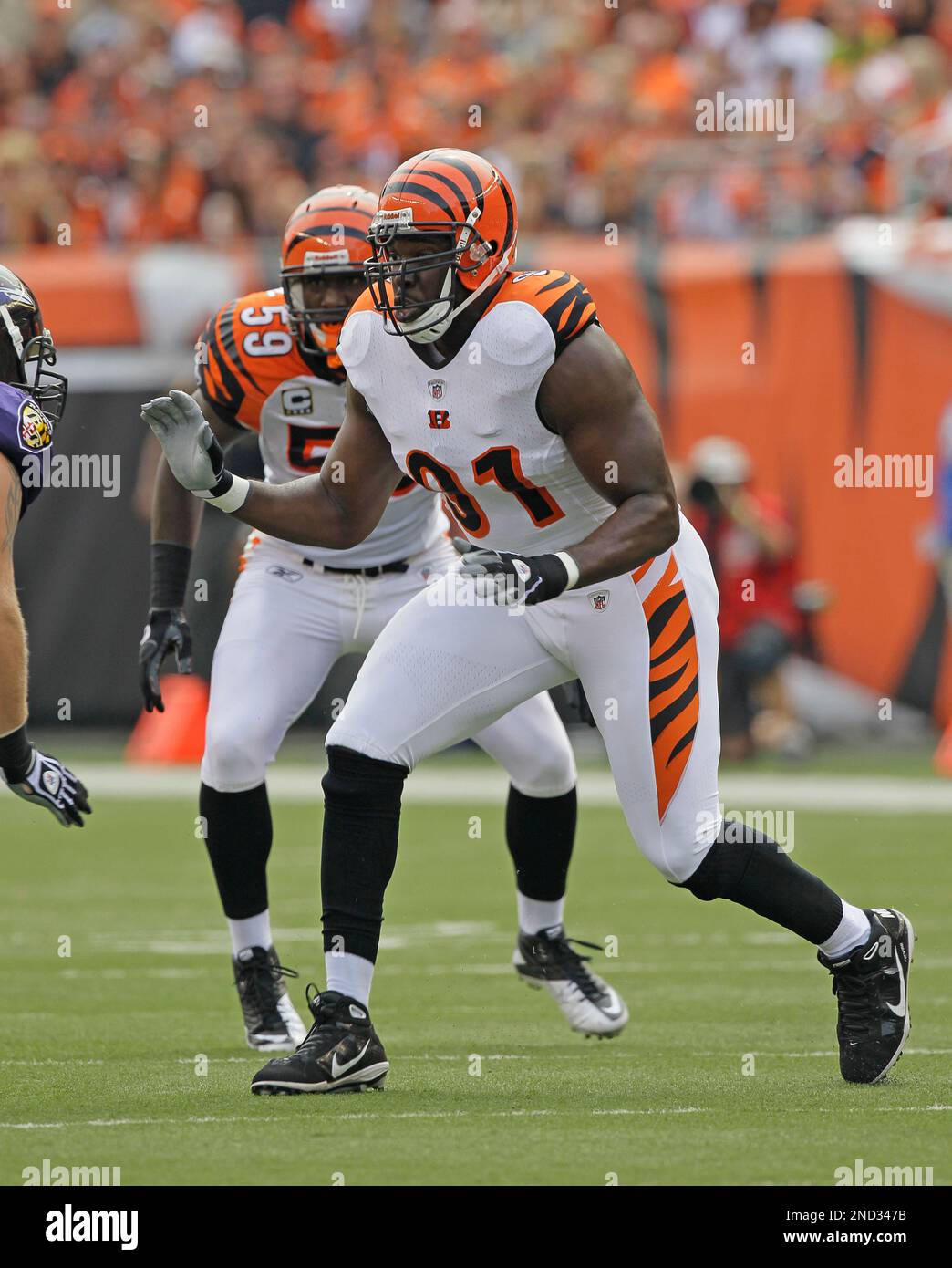 Cincinnati Bengals defensive end Robert Geathers in action during the ...