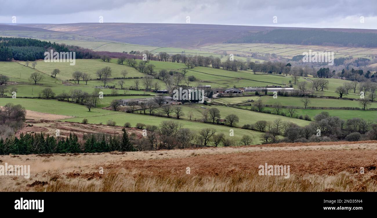 An overcast February view north-east from Druid's Plantation with Low ...