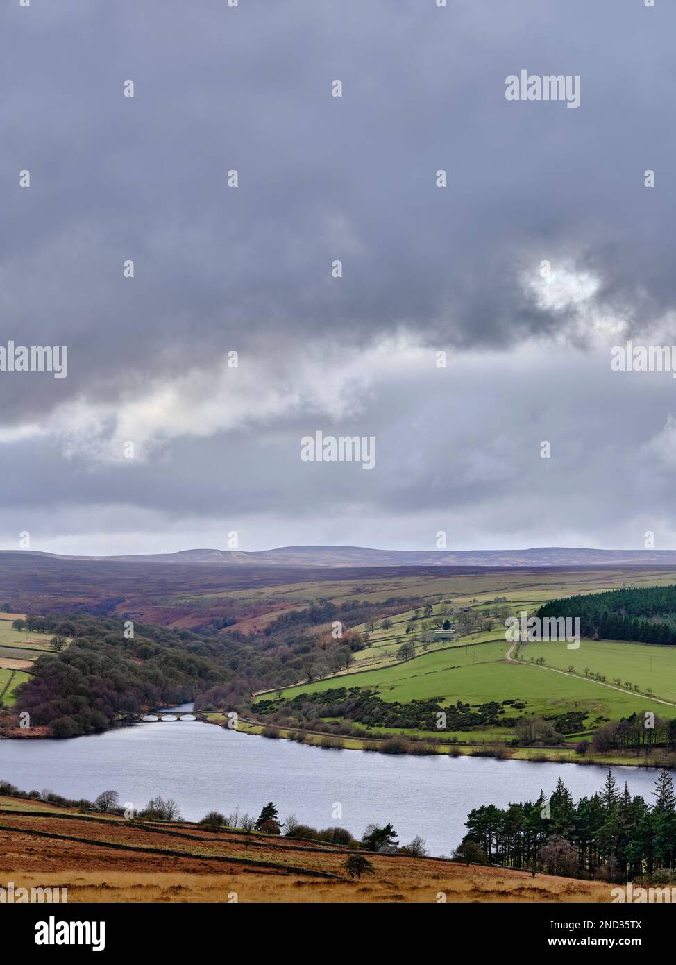 An overcast February portrait view west from Druid's Plantation with a ...