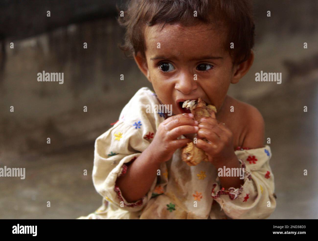 In this Sept. 13, 2010 photo, a Pakistani girl bites on a piece of ...