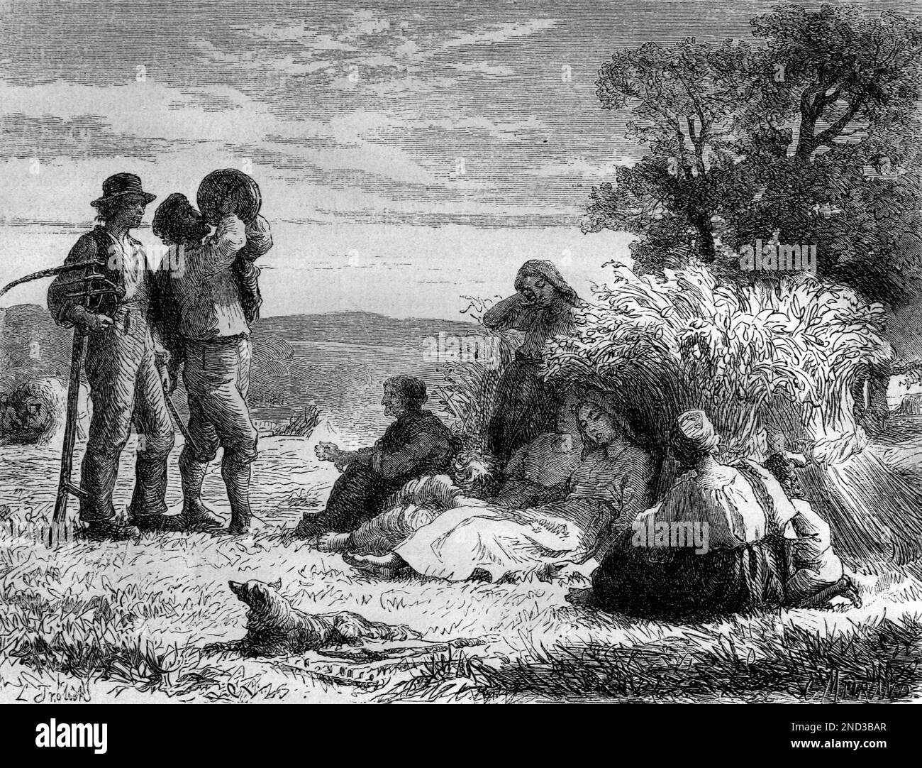 Harvest Scene in Denmark. Vintage Engraving or Illustration 1862 Stock ...