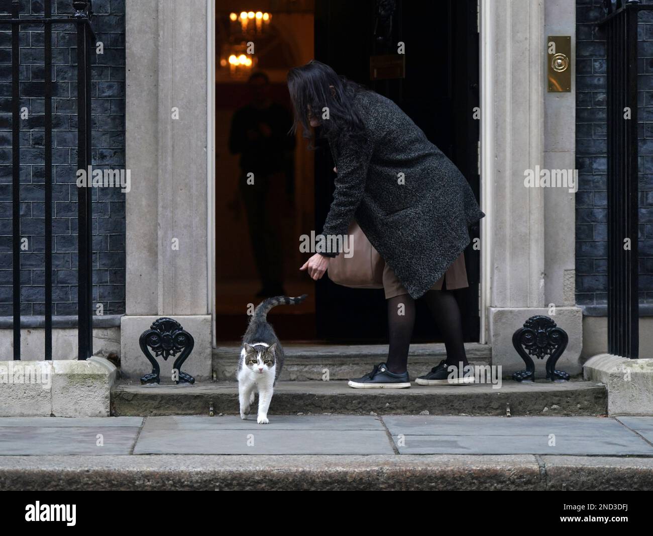 Larry the cat, in Downing Street, London, on the 12th anniversary of ...