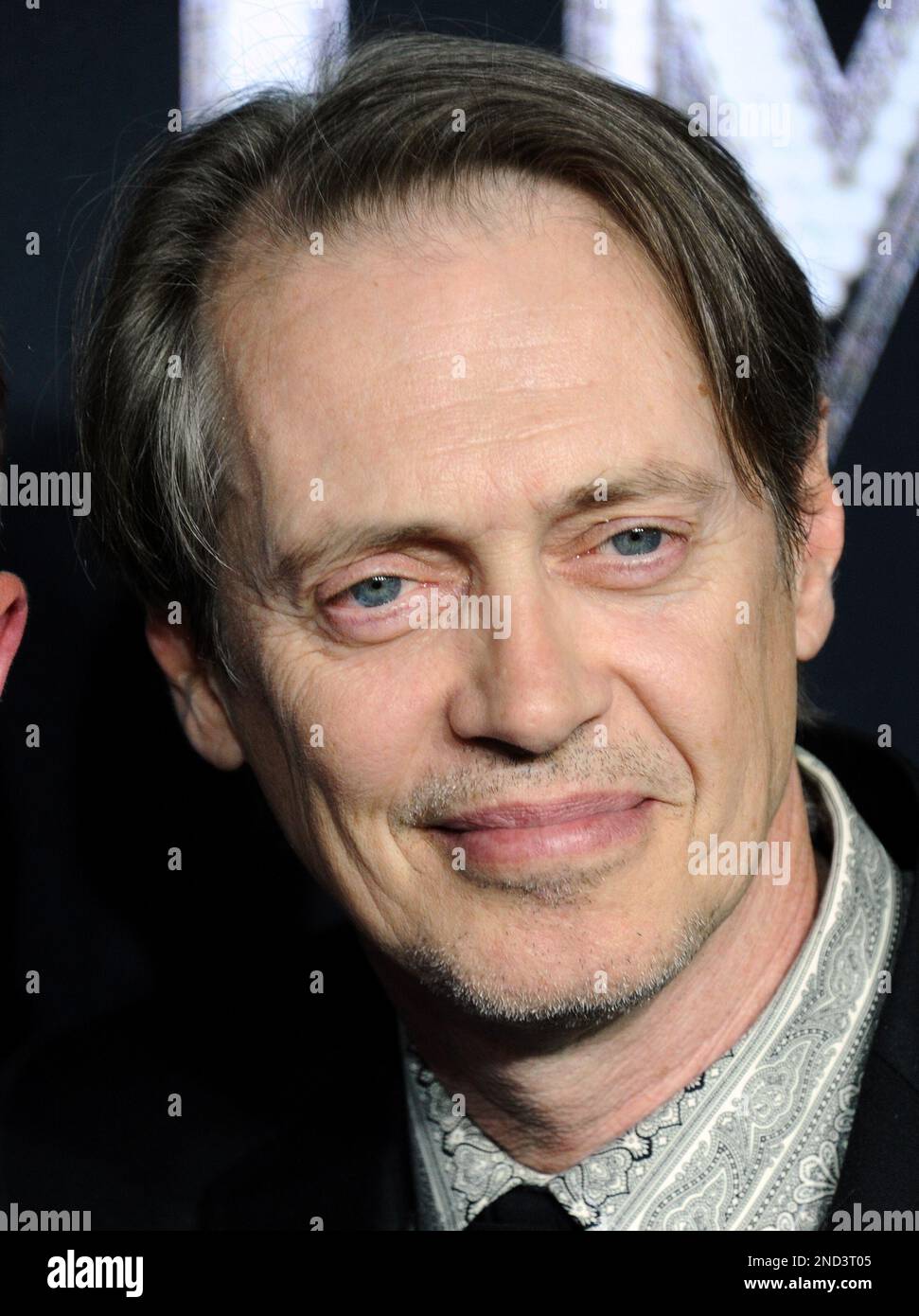 Steve Buscemi attends the HBO premiere of "Boardwalk Empire" at The ...