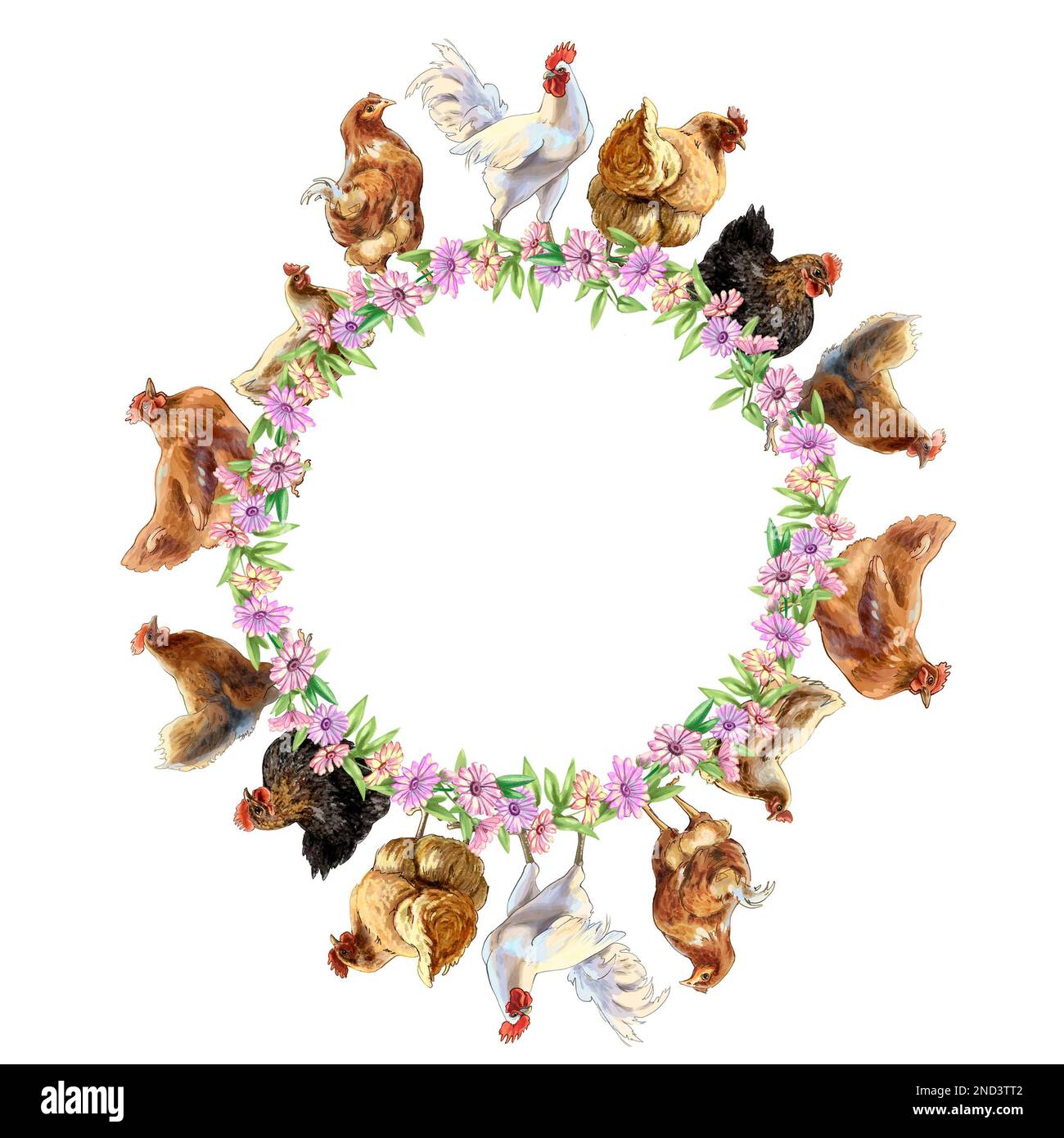 Illustration of chickens with a circle of flowers. High quality ...