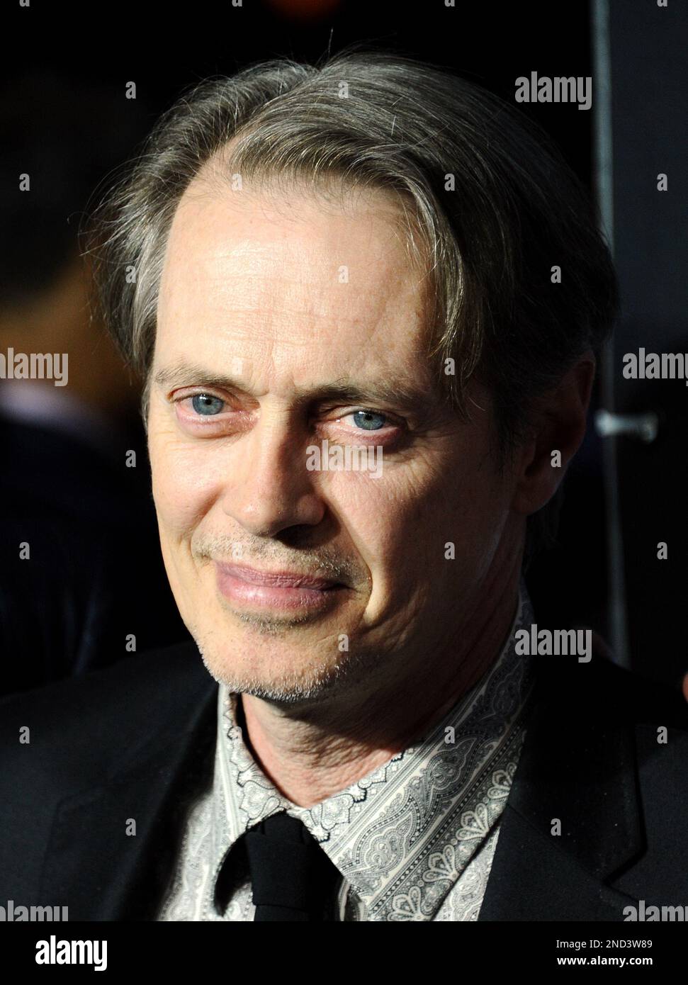 Actor Steve Buscemi attends the HBO premiere of "Boardwalk Empire" at ...