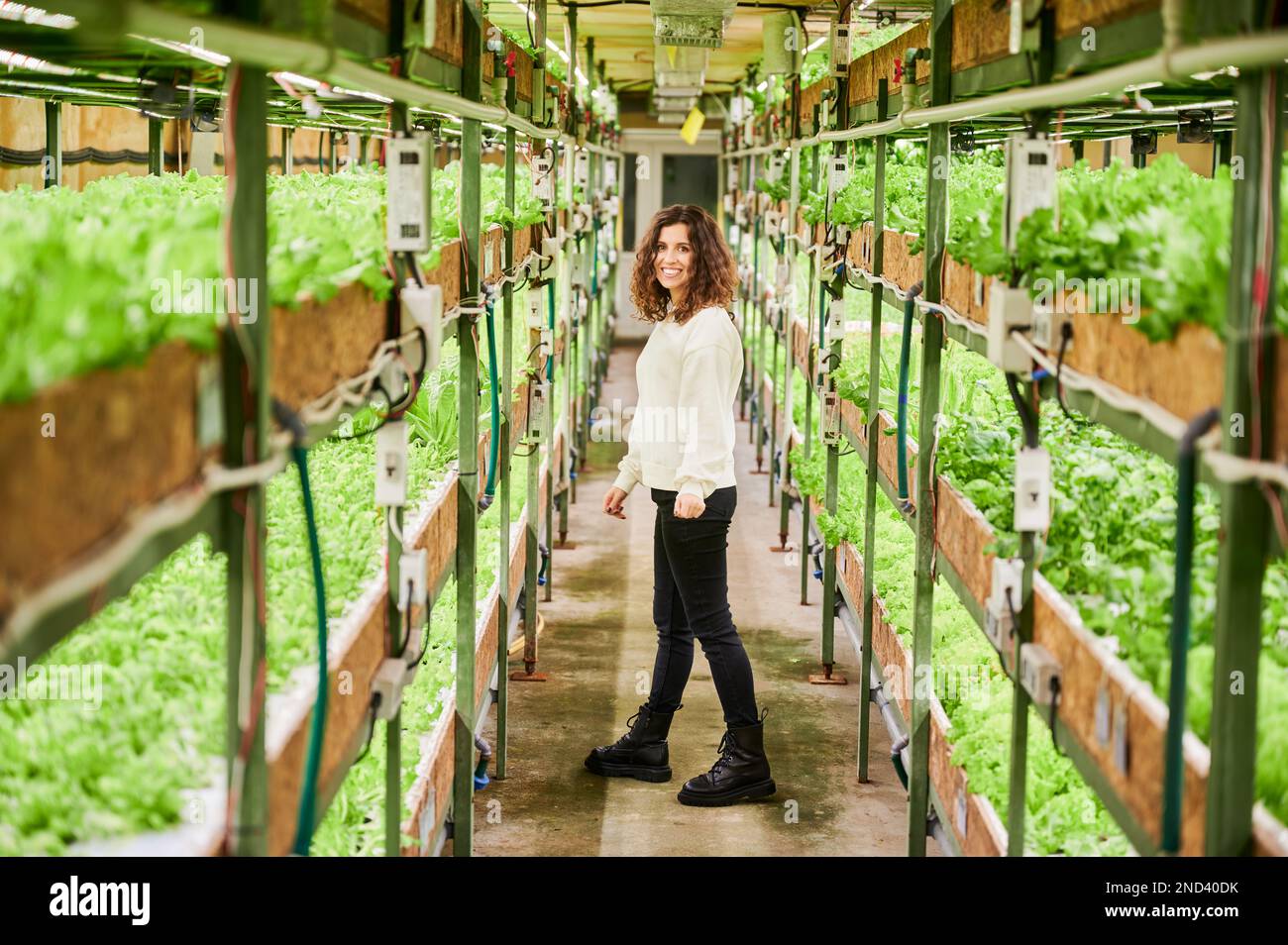 Portrait of female person looking at green leafy plants in greenhouse ...