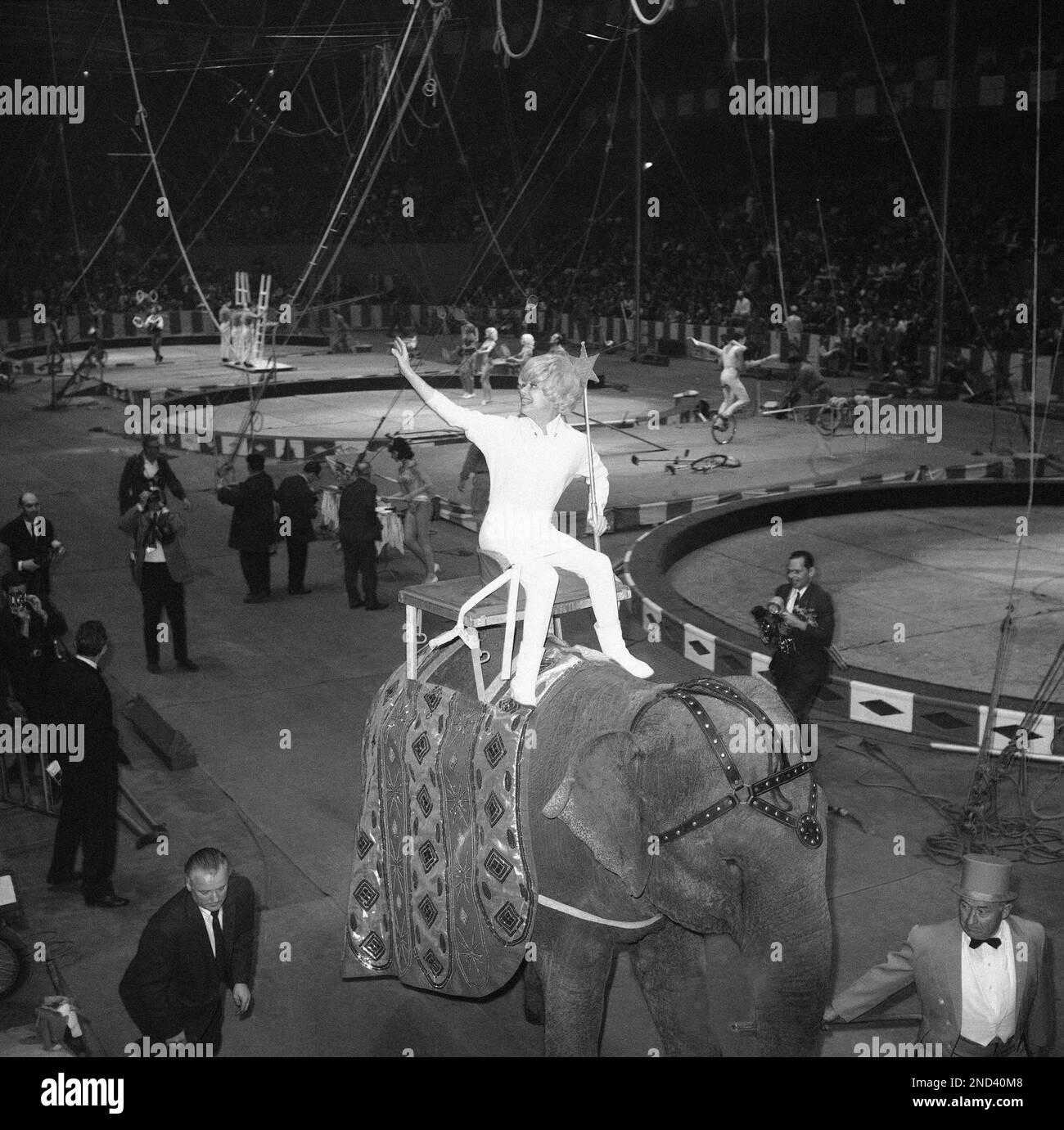 Musical comedy star Carol Channing rides “Iggy” the elephant as she ...