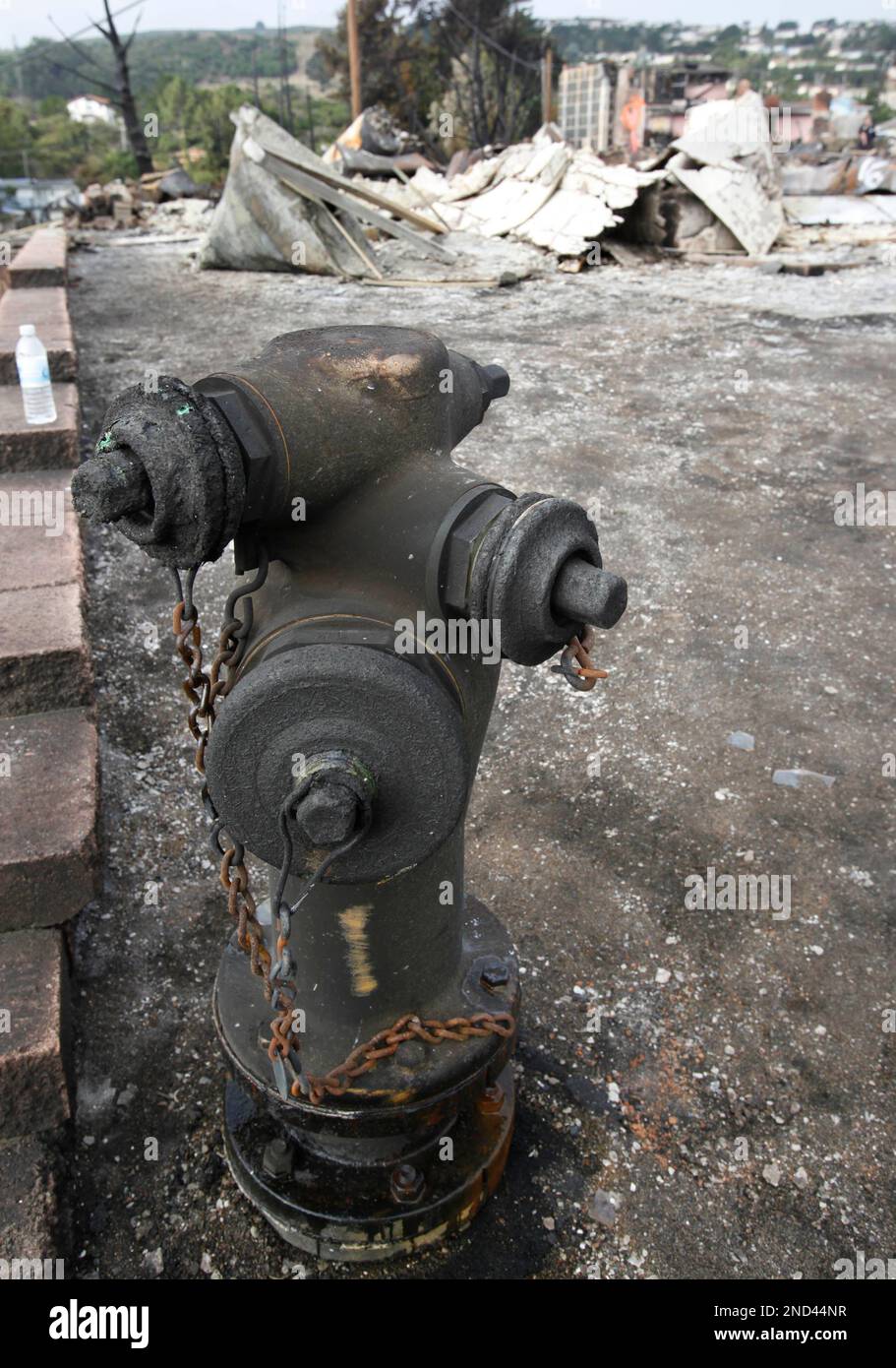 A burned fire hydrant is shown in front of a destroyed home in San ...