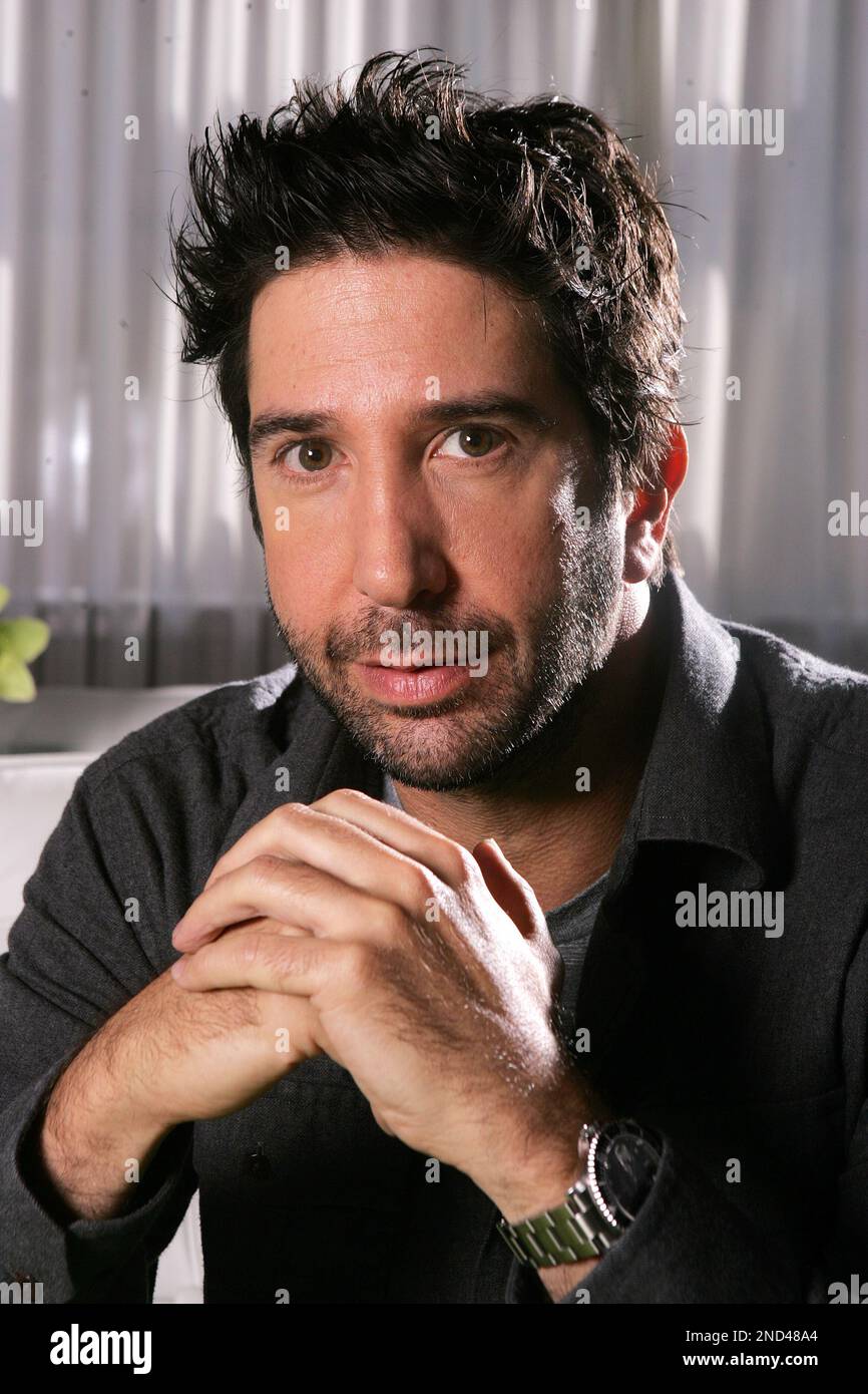 David Schwimmer, director of the film "Trust," poses for a portrait ...