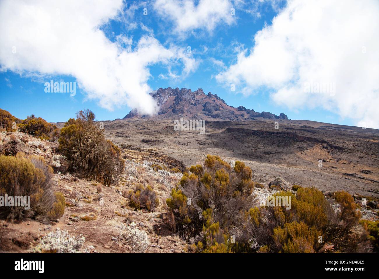 A view of Mawenzi peak from base camp of Mount Kilimanjaro, Tanzania ...