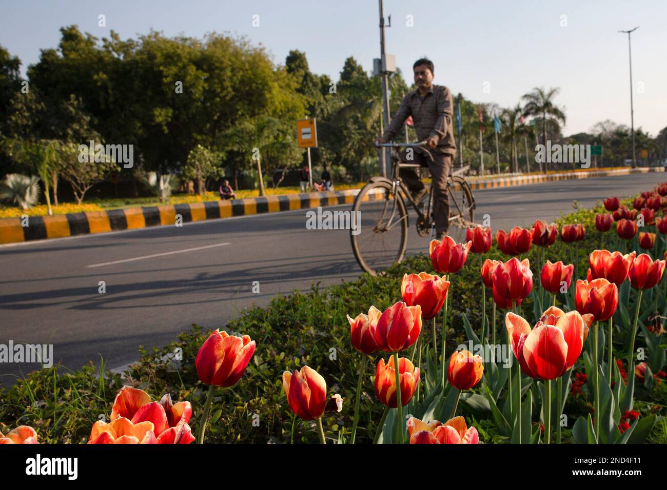 New Delhi, India. 15th Feb, 2023. A man riding a bicycle passes by ...
