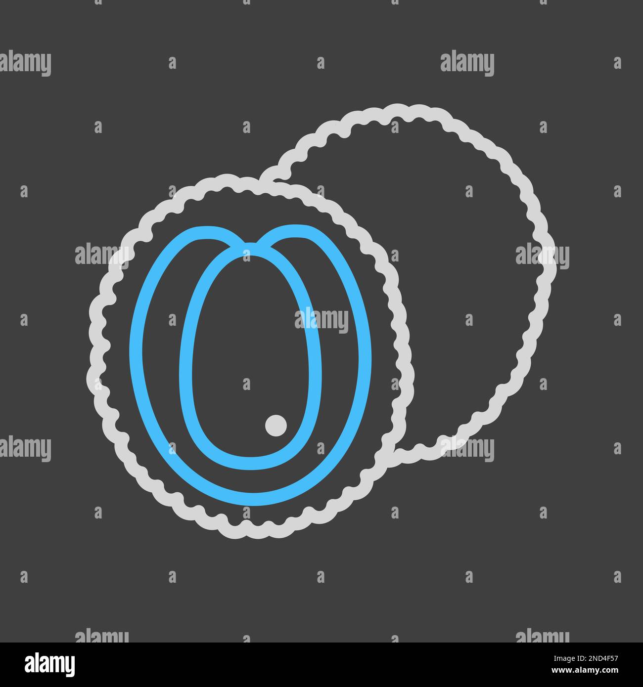 Lychee tropical fruit vector on dark background icon. Graph symbol for ...