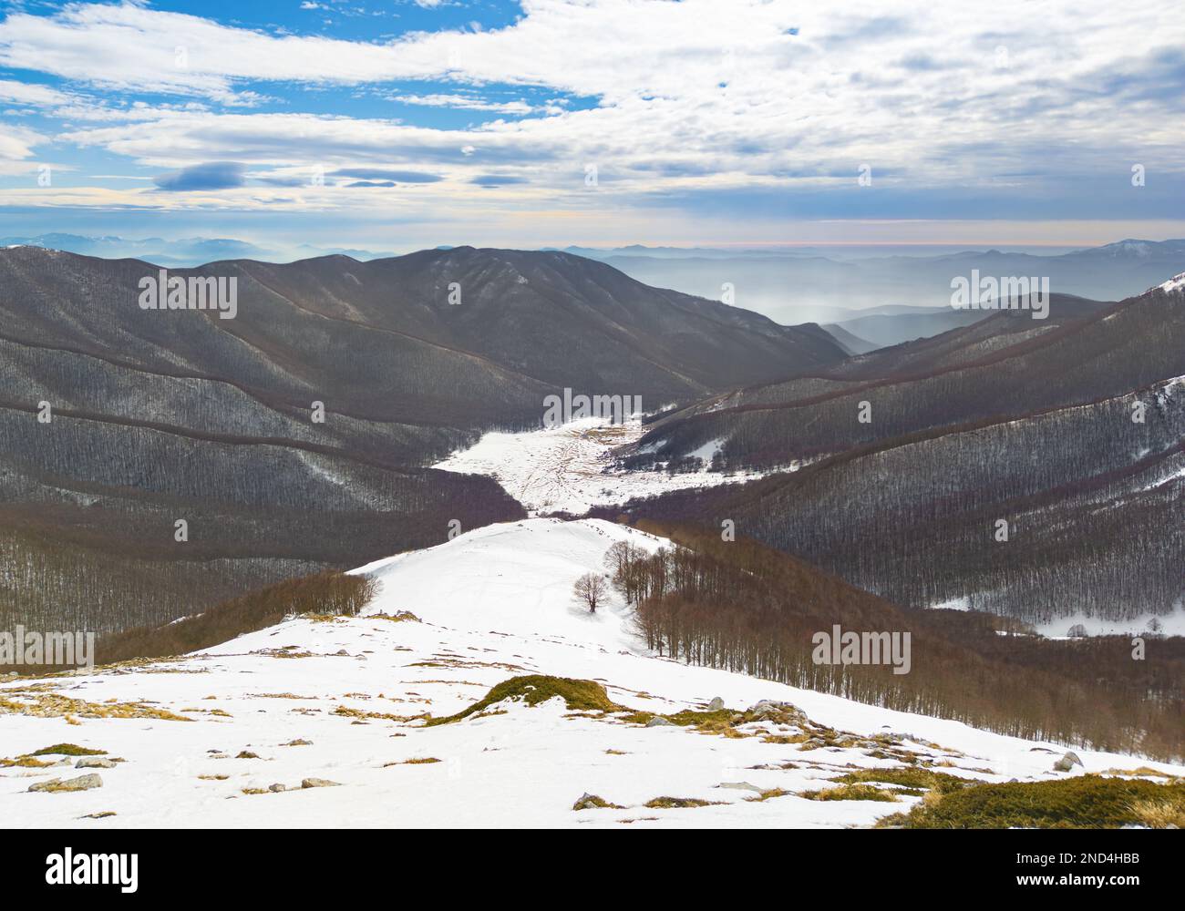 Prato di campoli hi-res stock photography and images - Alamy