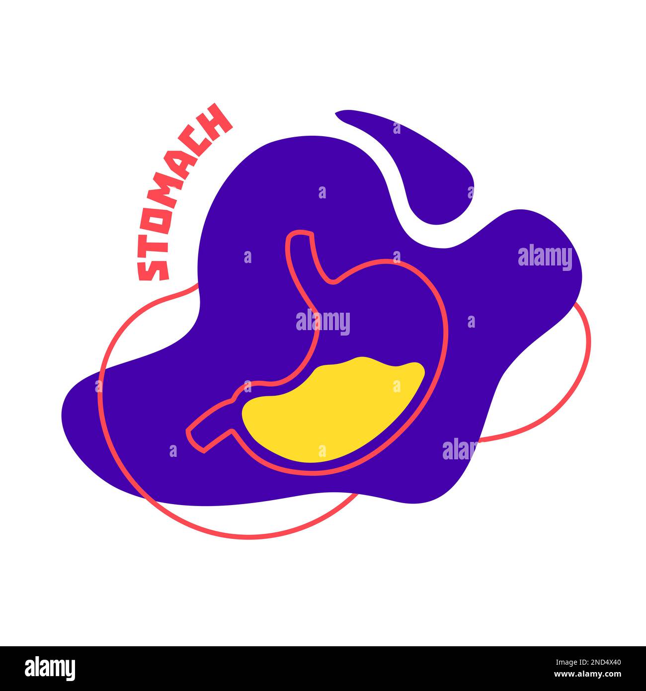 Stomach digestive system body organ outline icon Stock Vector Image ...