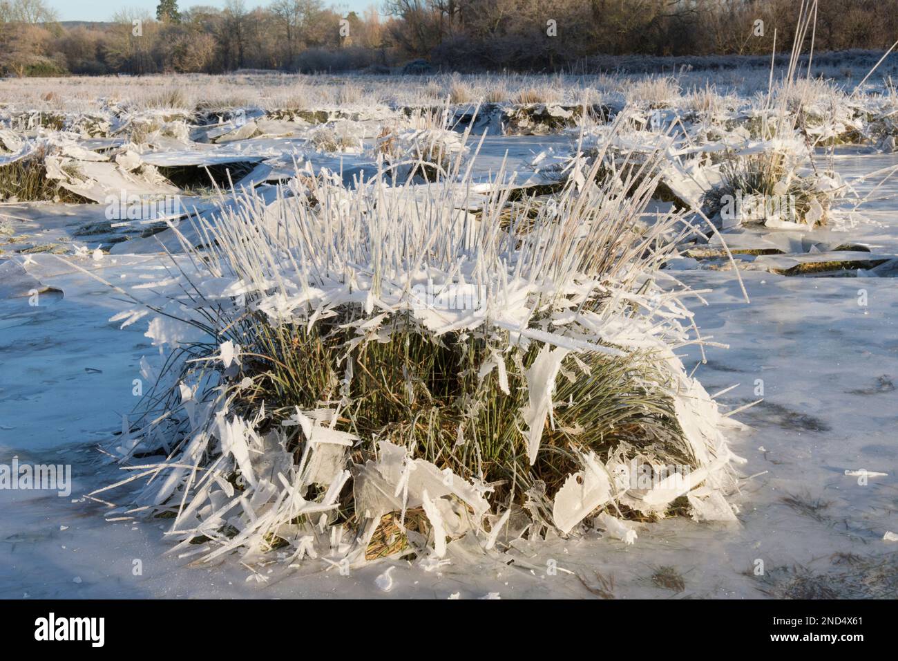 collapsed ice, field flooded and then froze, water drained away leaving ...