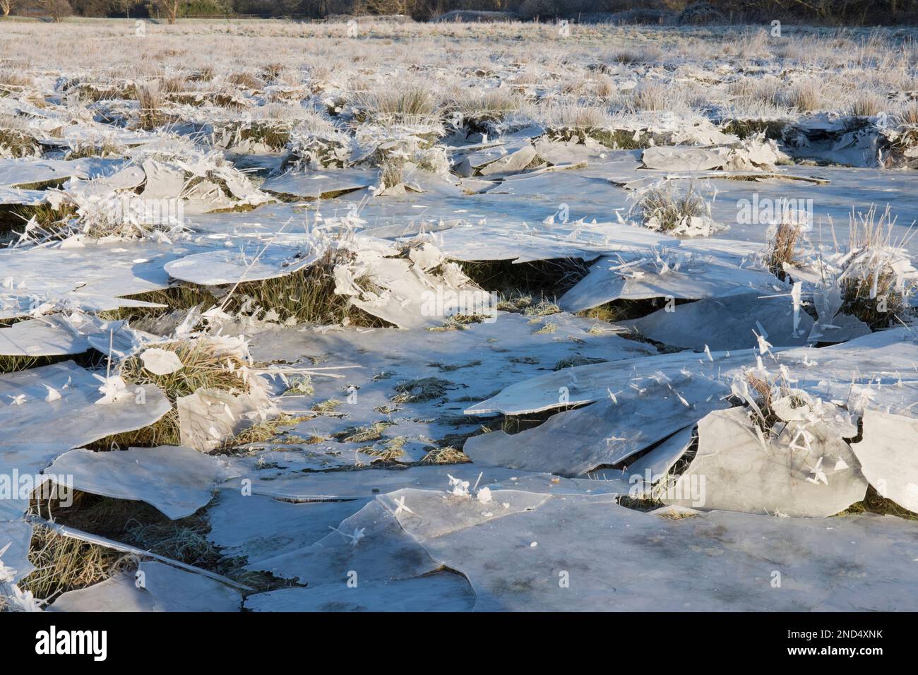 collapsed ice, field flooded and then froze, water drained away leaving ...
