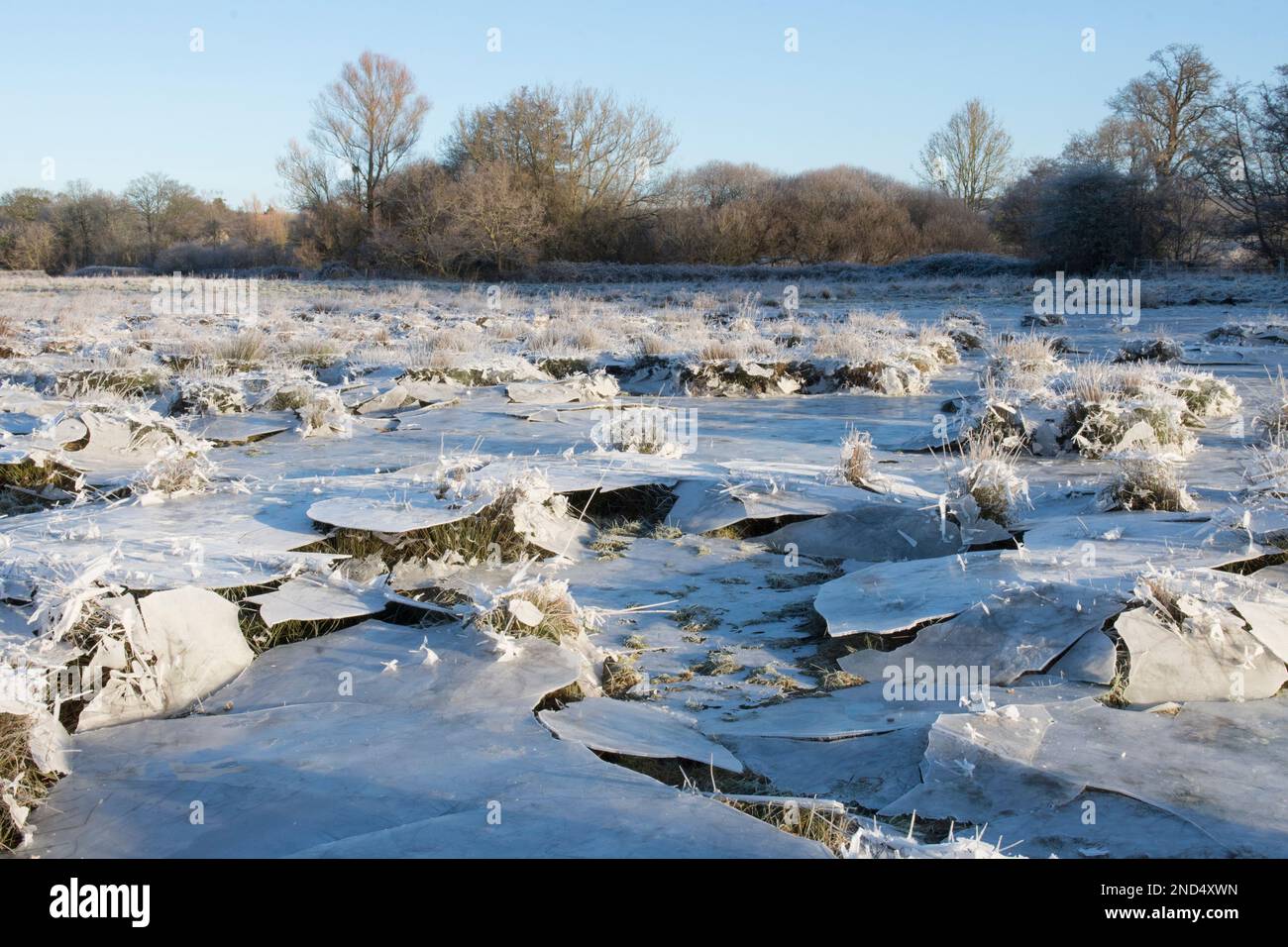 collapsed ice, field flooded and then froze, water drained away leaving ...