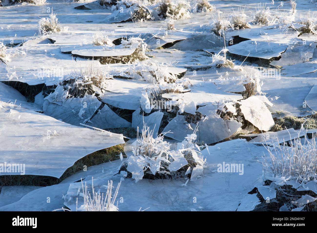 collapsed ice, field flooded and then froze, water drained away leaving ...