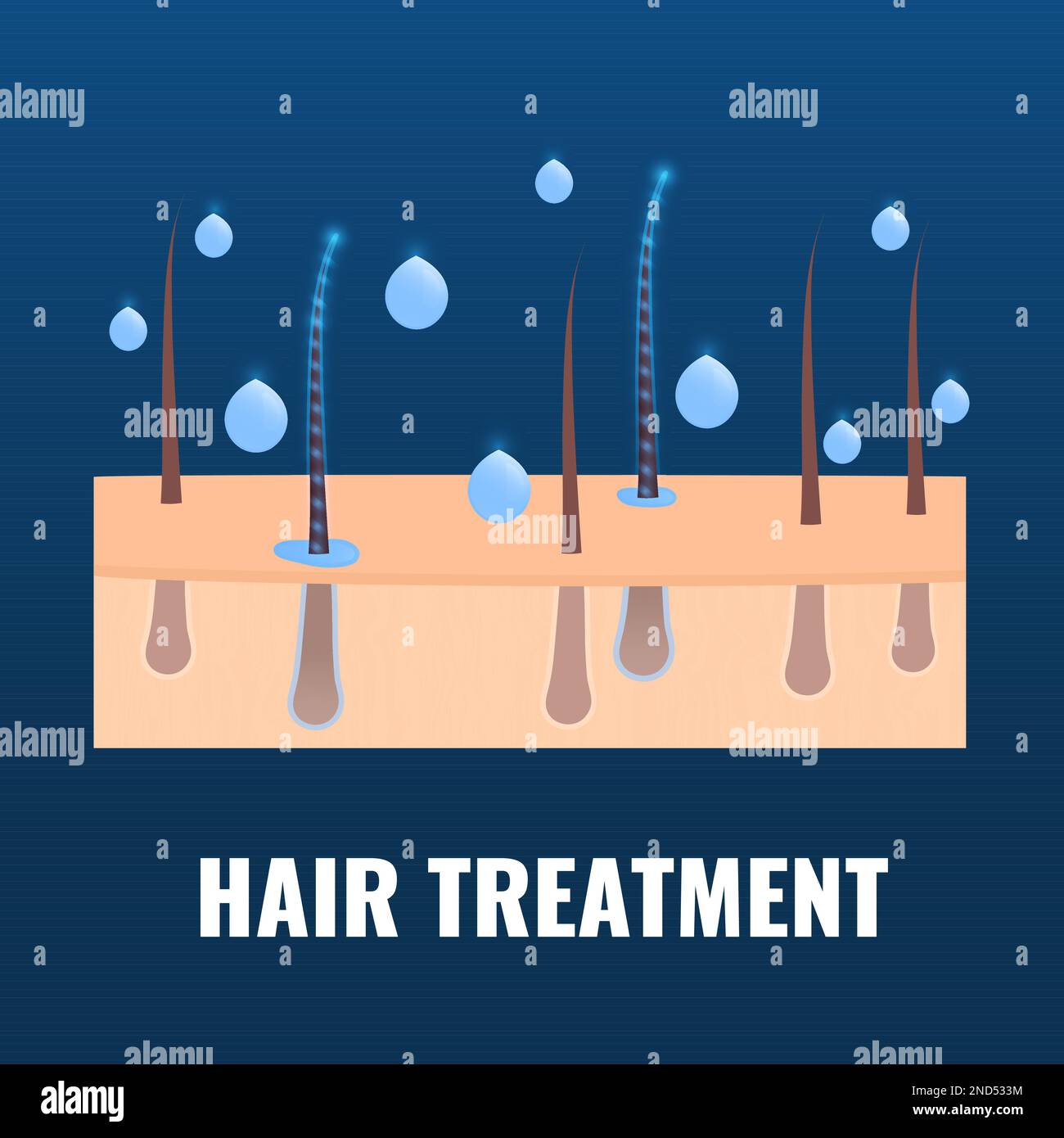 Strengthening hair roots hi-res stock photography and images - Alamy
