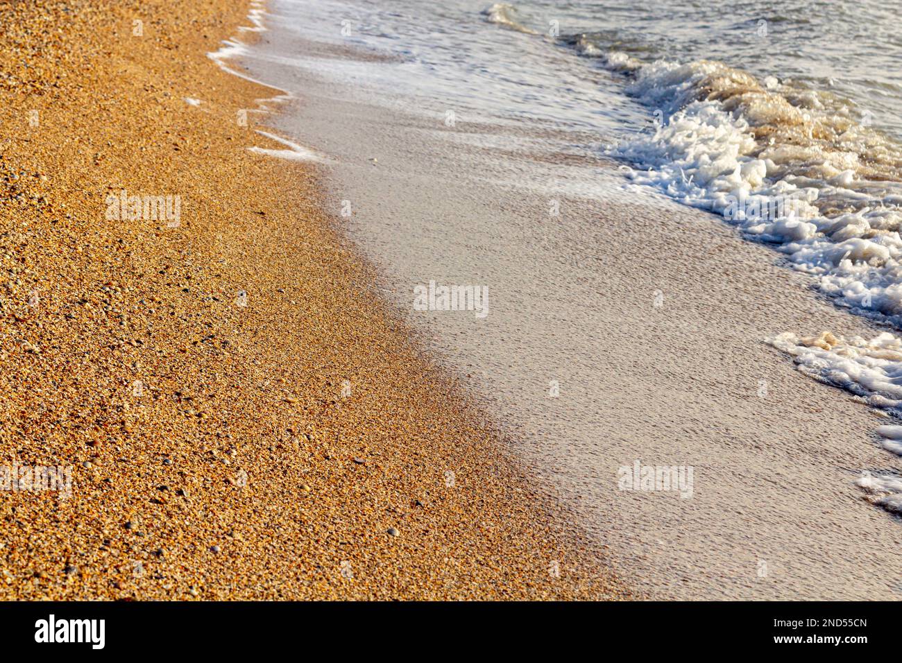 the sandy shore of the sea beach with shells and waves. background ...