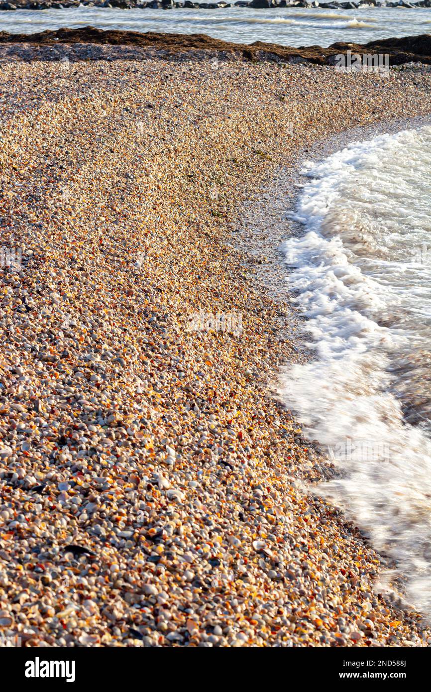 the sandy shore of the sea beach with shells and waves. background ...