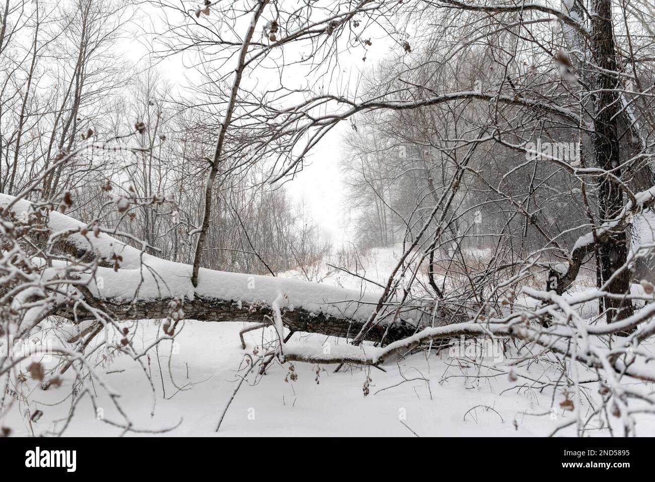 Scenic view frozen river against hi-res stock photography and images ...