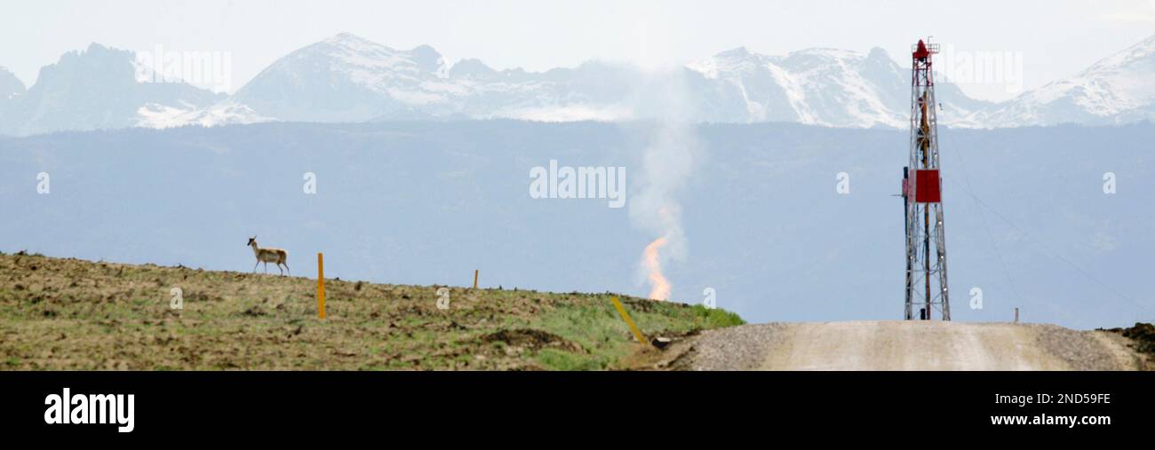 An antelope passes by a natural gas drilling rig south of Pinedale, Wyo ...