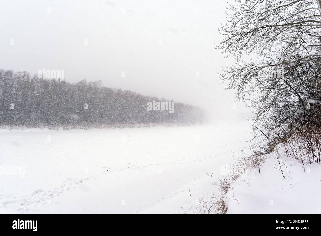 Obliquely flying in the wind snow flakes cover their tracks in a heavy ...