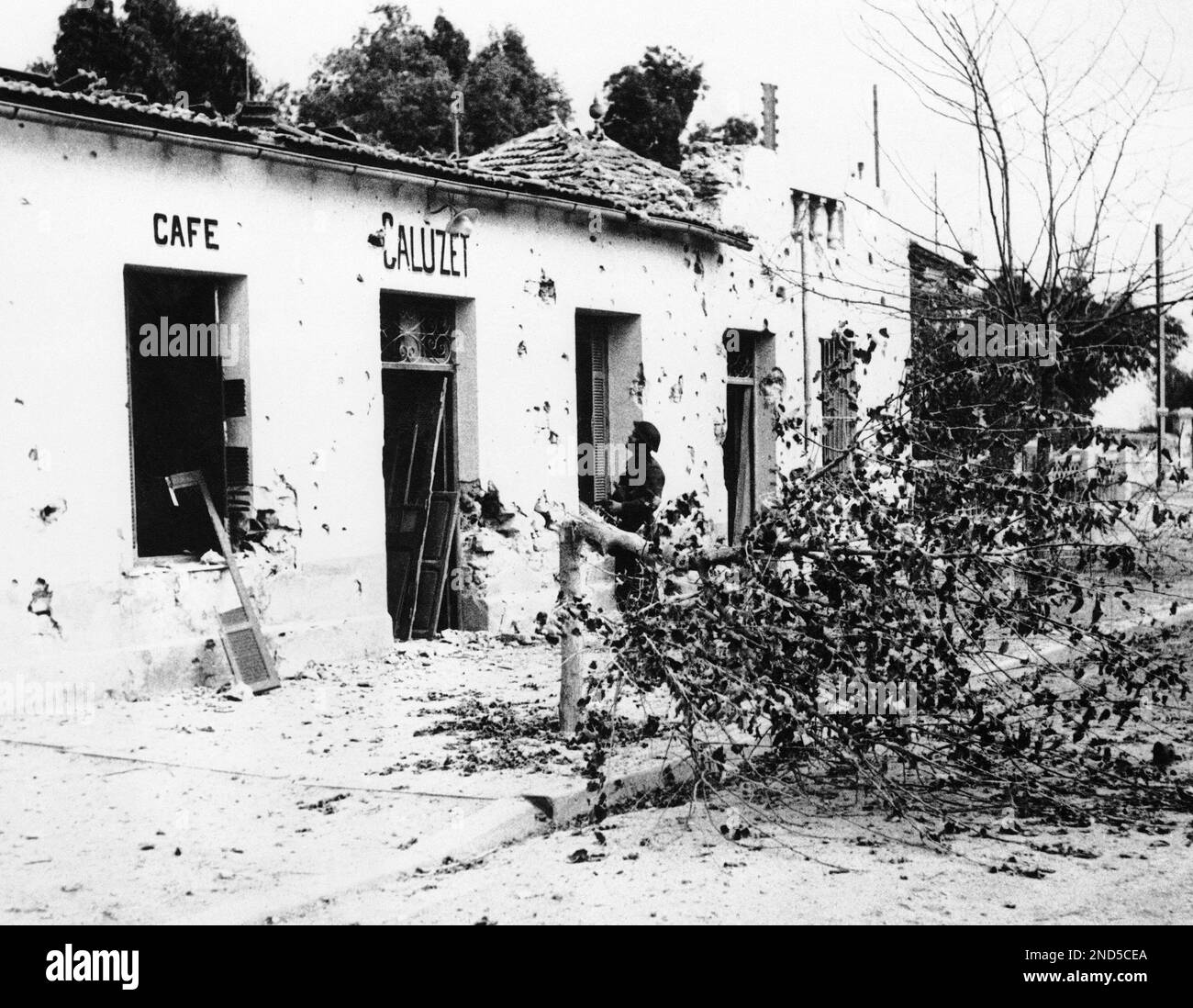 A broken tree and bomb-splinter marked walls of a face show some effect ...