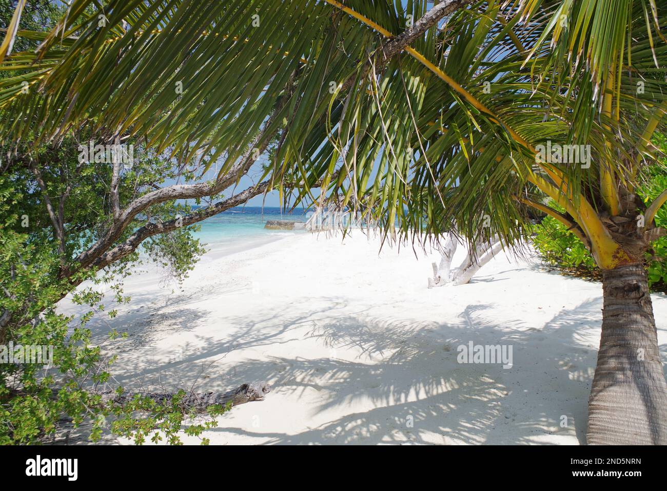 Helengeli is hi-res stock photography and images - Alamy