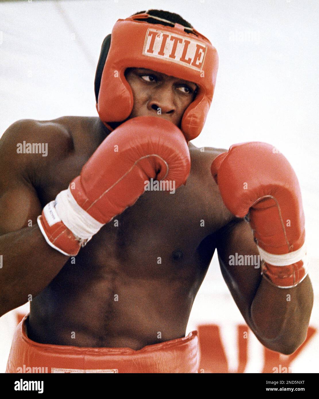 British Heavyweight champion Frank Bruno eyes his sparring partner ...