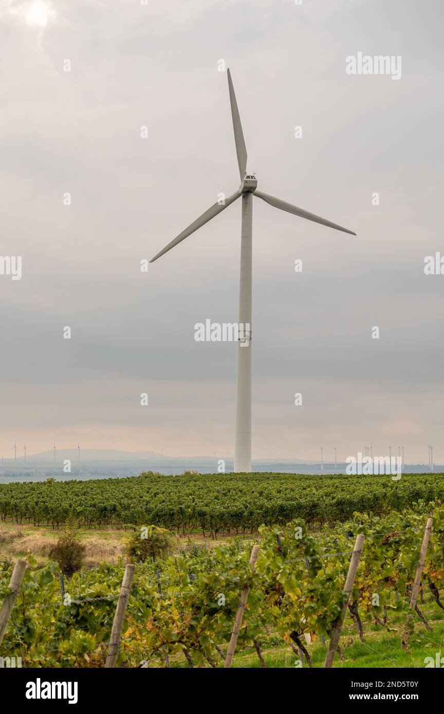 Modern wind turbine, rear view on a vineyard with wind park in the ...