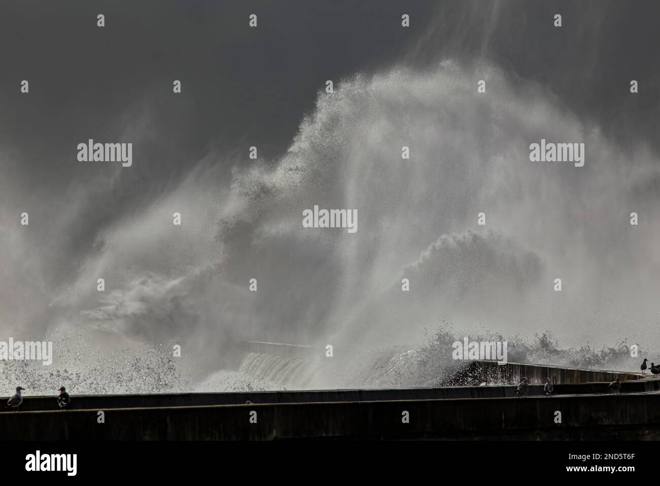 Big stormy wave splash and spray. Interesting light filtered by ...
