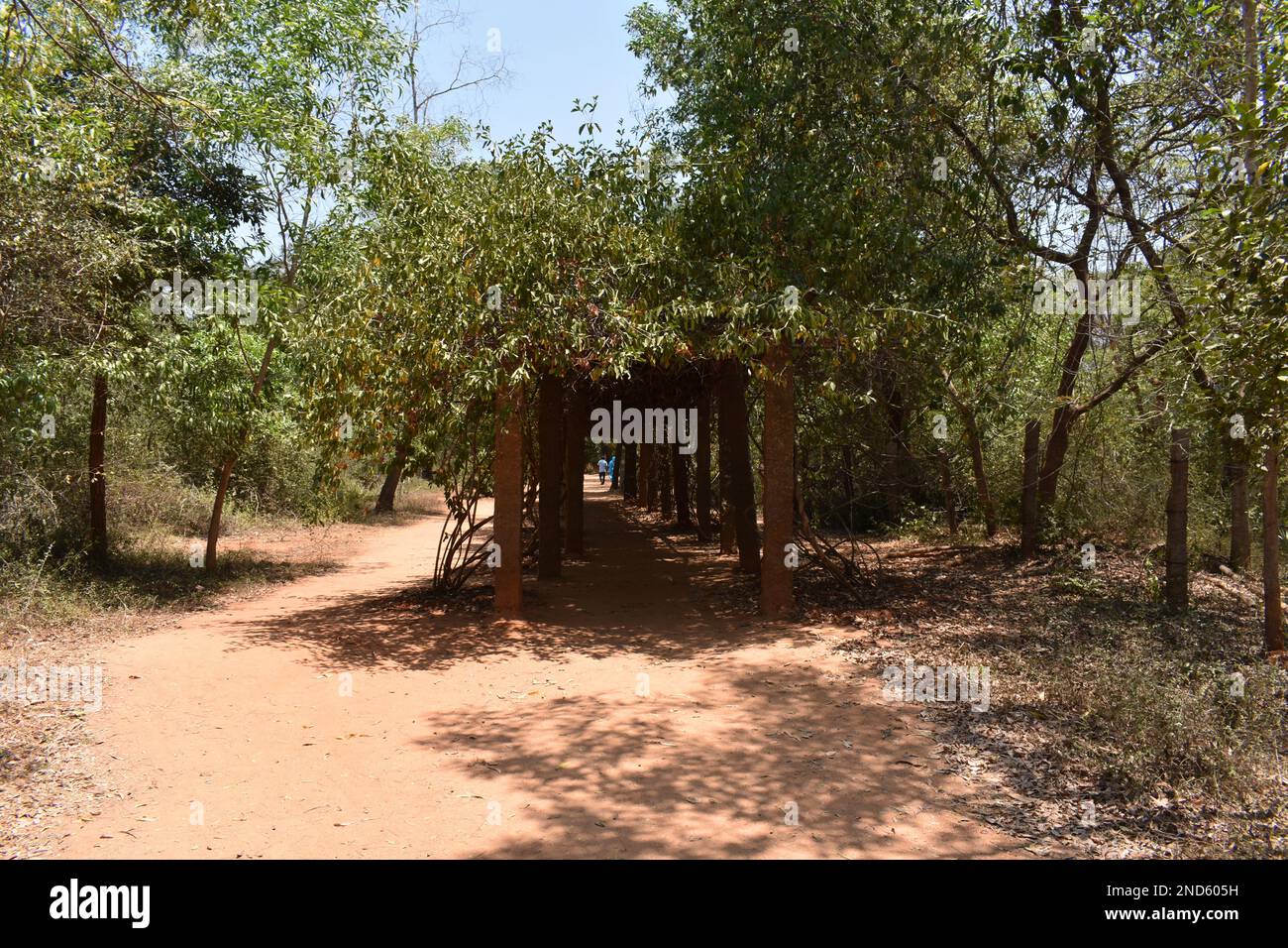 Covered in vegetation hi-res stock photography and images - Alamy