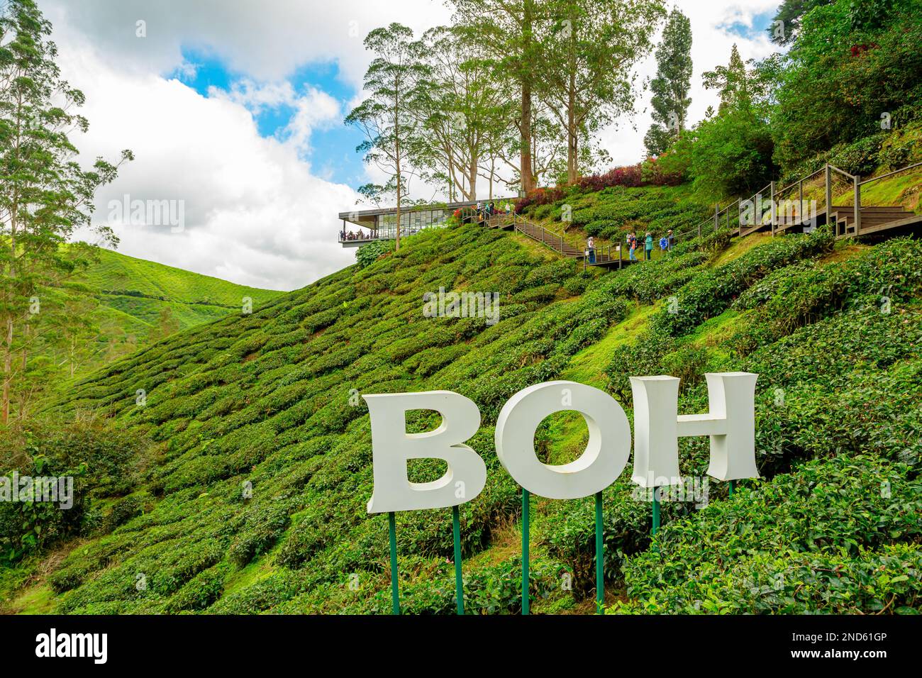 Cameron Highlands, Malaysia - 2023: BOH Tea Centre in Cameron Highlands ...