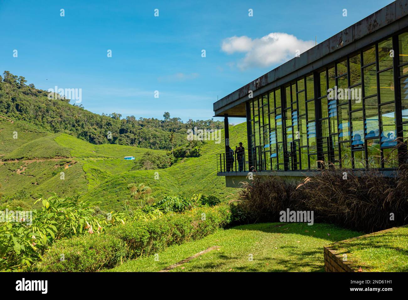 Cameron Highlands, Malaysia - 2023: BOH Tea Centre is a tea plantation ...