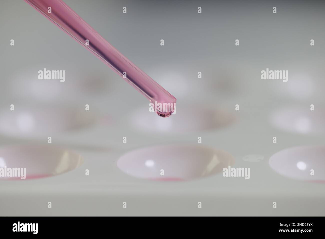 A drop on a red pipette for laboratory research, close-up Stock Photo ...